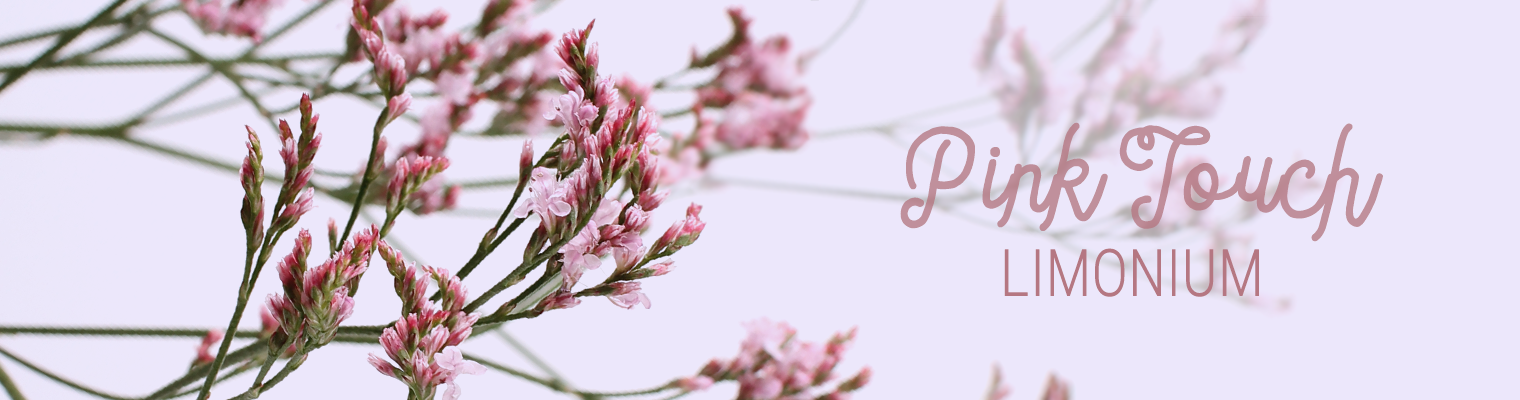 Van Lier Nurseries | Premium Quality cut flowers in Auckland | Roses ...